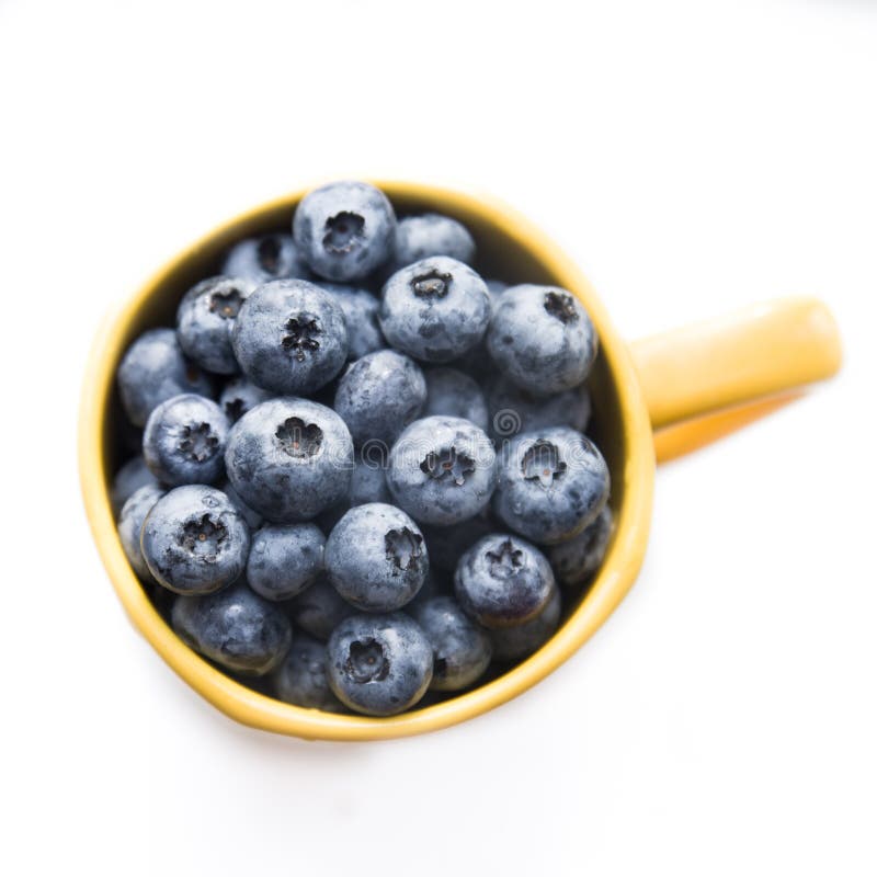 Blueberries in a cup stock photo. Image of seasonal, food - 74511614