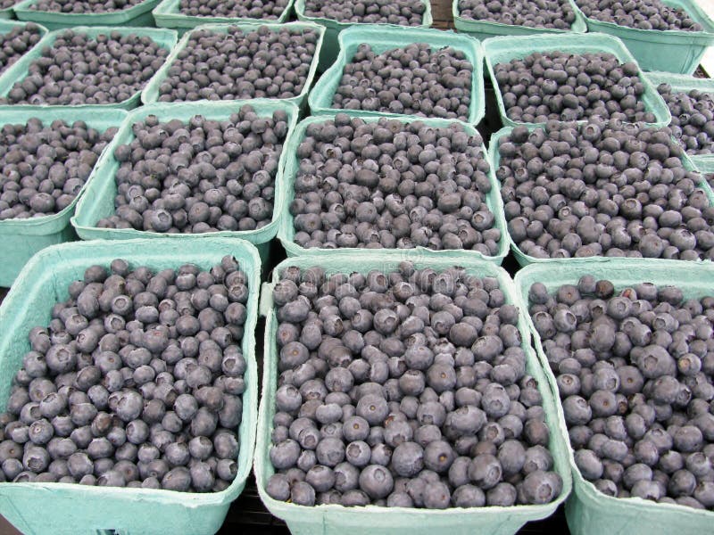 Blueberries in Disposable Carton Stock Photo - Image of recycled, food ...