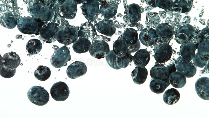 Blueberries, Water Droplets, Equally Spaced, on a Light Background ...