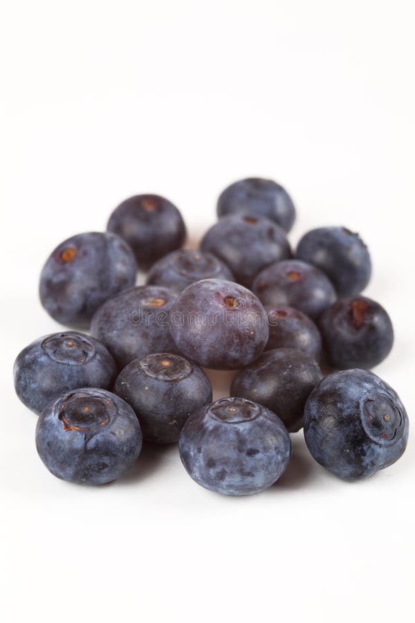 Blueberries stock photo. Image of fruits, white, isolated - 74149550
