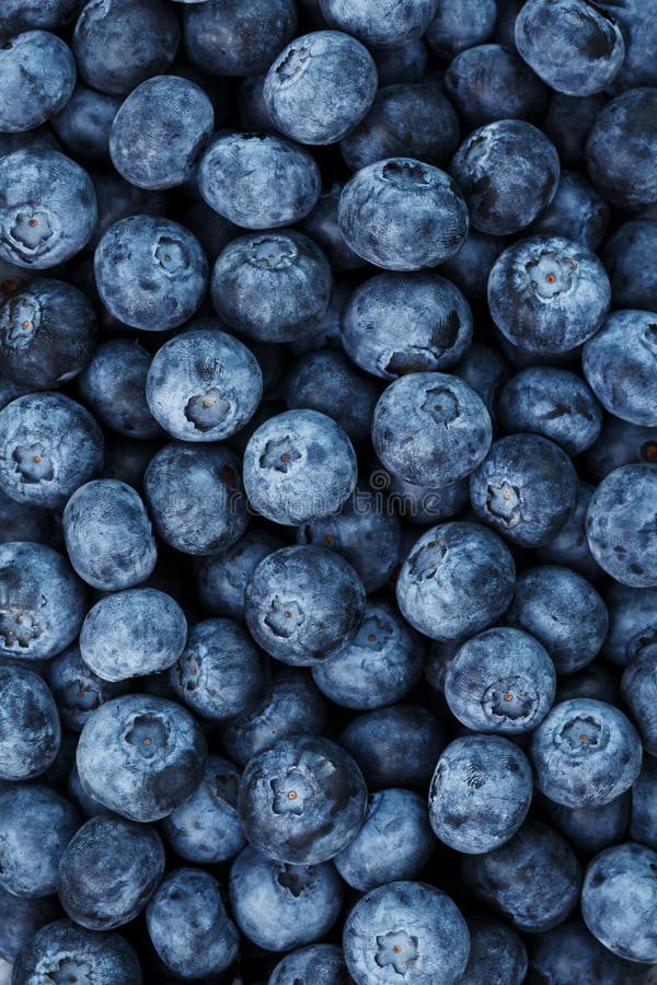 Blueberries in the Form of a Full-screen Texture Stock Photo - Image of ...