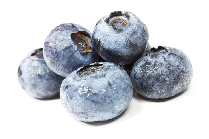 Blueberries stock photo. Image of harvest, fresh, drop - 42722724