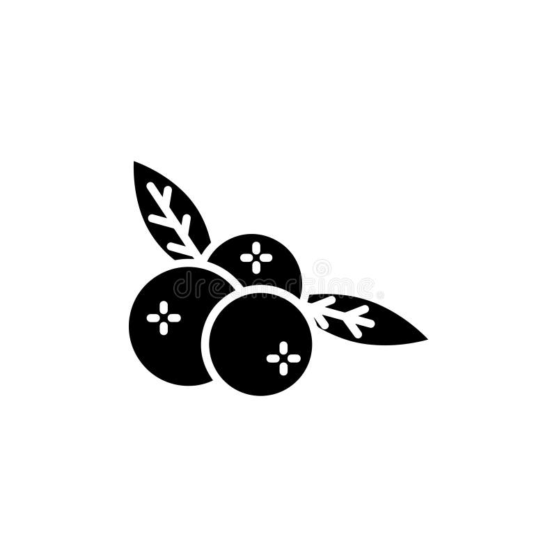 Blueberries Icon Isolated on White Background Stock Illustration ...