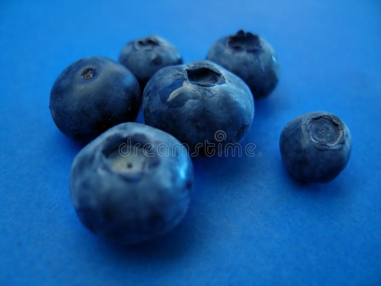 Blueberries II stock image. Image of fruit, fruity, fresh - 12469