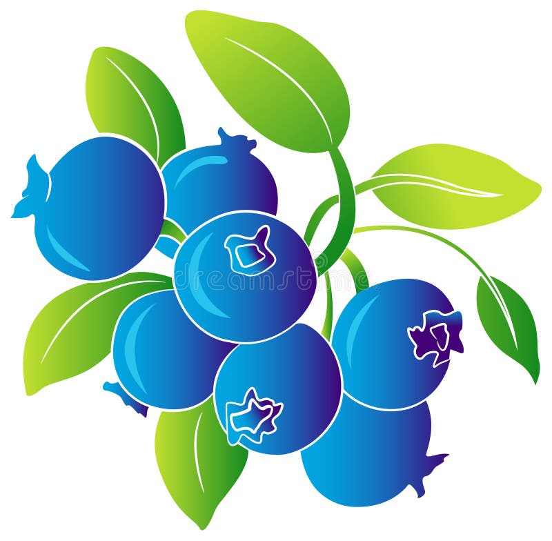 Blueberries stock illustration. Illustration of blueberry - 8511583
