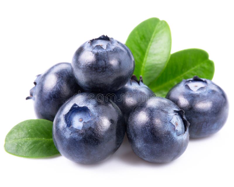 Blueberries stock photo. Image of diet, blue, background - 62136856