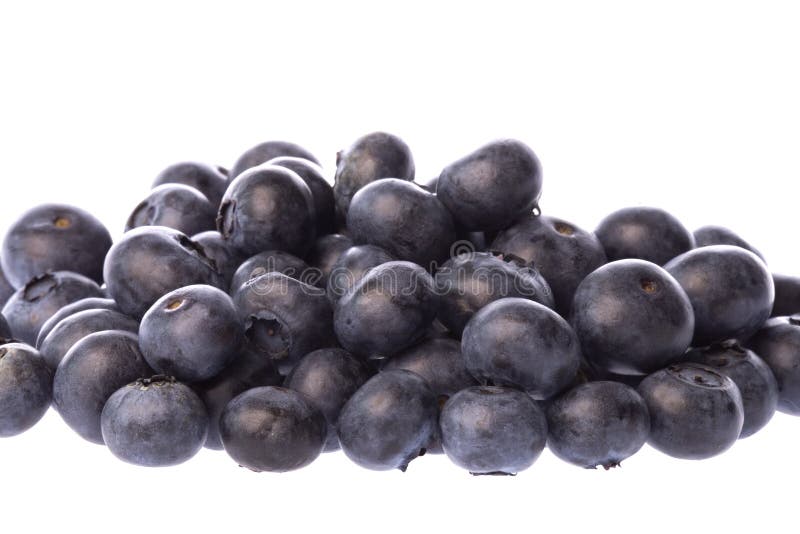 Moldy blueberries stock photo. Image of cutout, blue, copy - 7985266