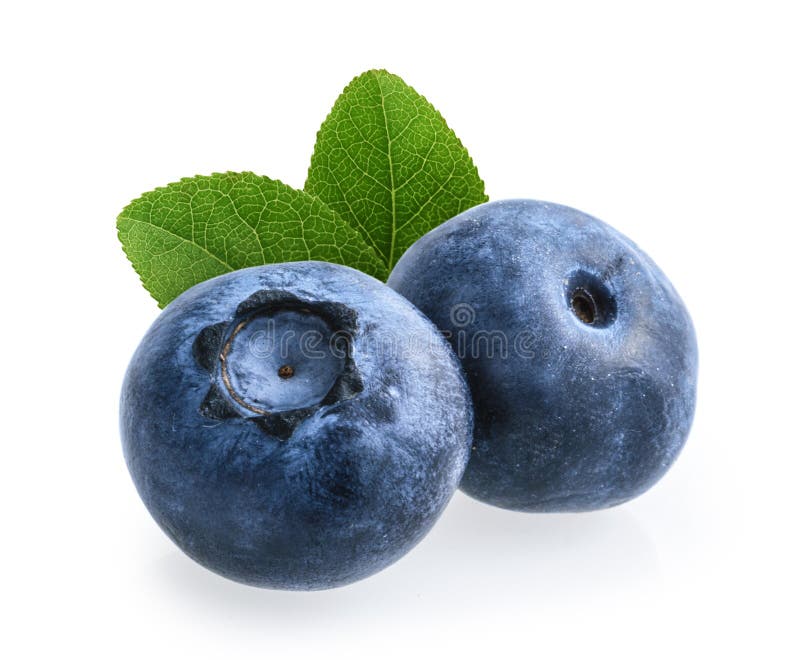 Blueberry Isolated on White Background Stock Image - Image of ripe ...