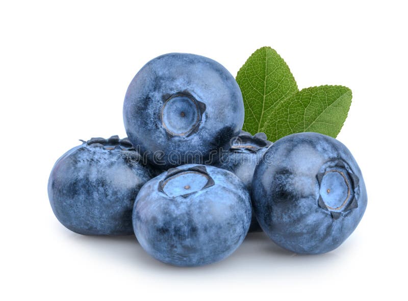 Blueberry Isolated on White Background Stock Image - Image of ripe ...