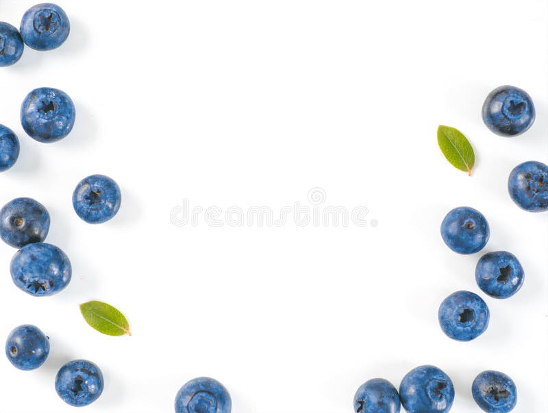 2,440 Blueberry Border Photos - Free & Royalty-Free Stock Photos from ...