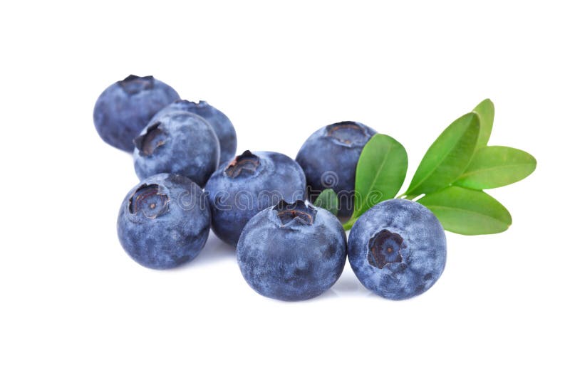 Blueberries Isolated on White Stock Photo - Image of background, object ...