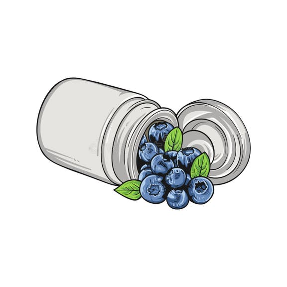 Blueberries and Leaves Pouring Out of a Container Stock Vector ...
