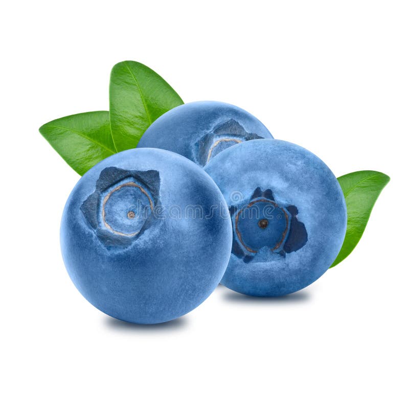 Blueberries with Leaves on White Background Stock Image - Image of ...