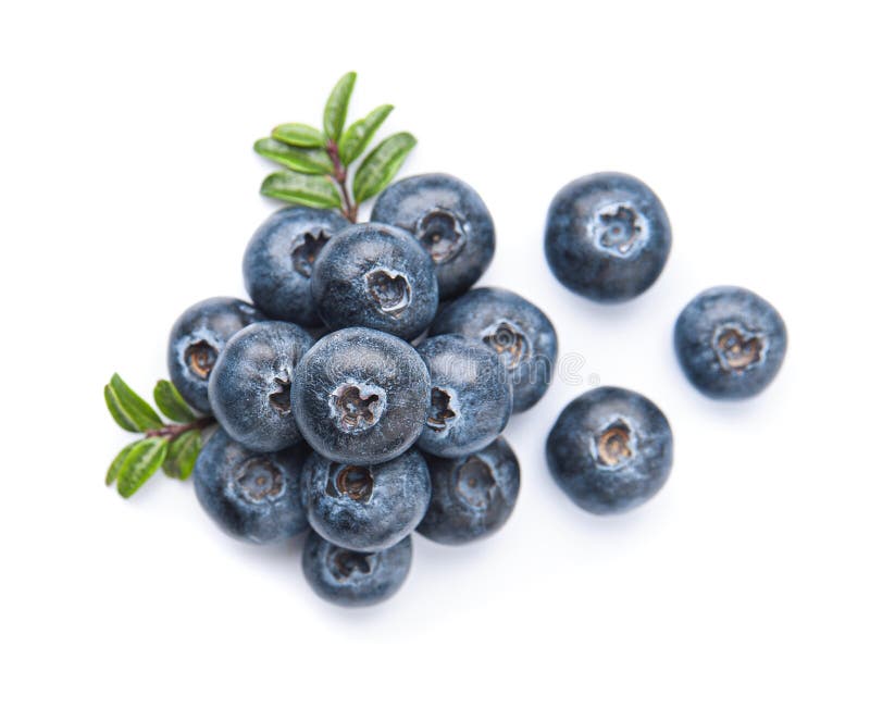 Blueberries with Leaves on White Backgrounds Stock Photo - Image of ...