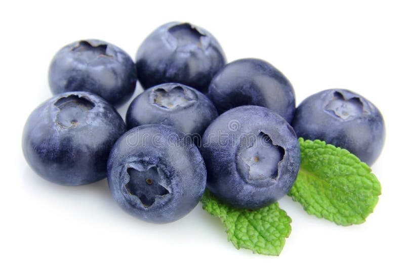 Blueberries with mint stock photo. Image of mint, food - 23701178