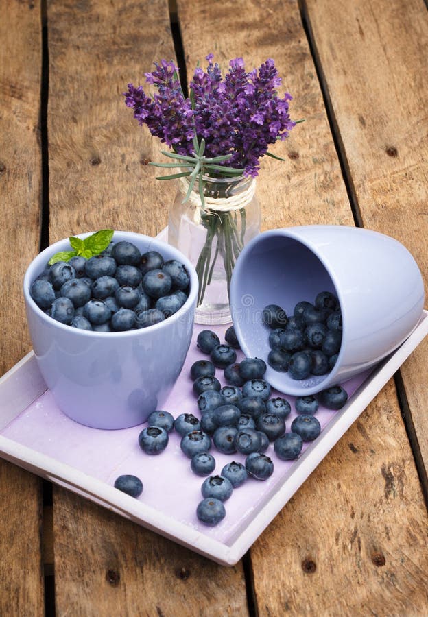 Blueberries stock photo. Image of freshness, lifestyle - 32427846