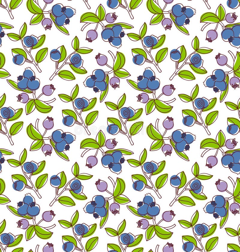 Blueberries pattern stock vector. Illustration of seamless - 47295318