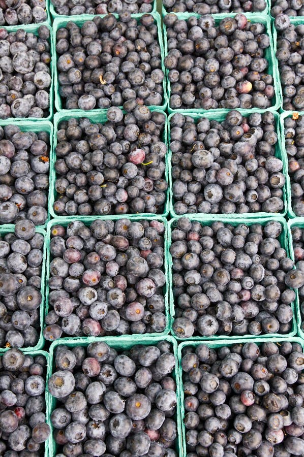 Blueberries in Pint Baskets Stock Photo - Image of blue, freshness ...