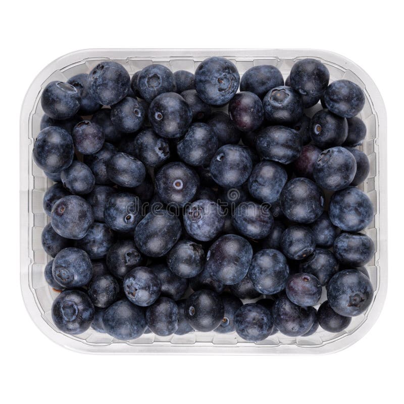 Blueberries in Plastic Box Isolated on White Stock Image - Image of ...