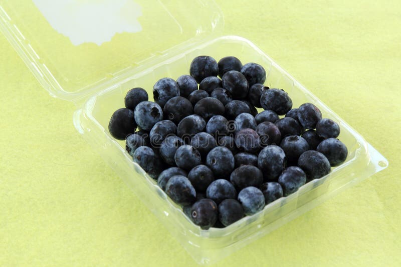 Blueberries in a Plastic Box Stock Image - Image of berry, black: 37659611