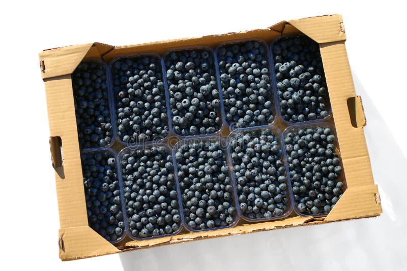 Blueberries in Plastic Boxes and a Cardboard Box Stock Photo - Image of ...