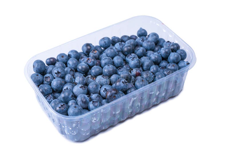Blueberries in a Plastic Container Isolated on White Background Stock ...
