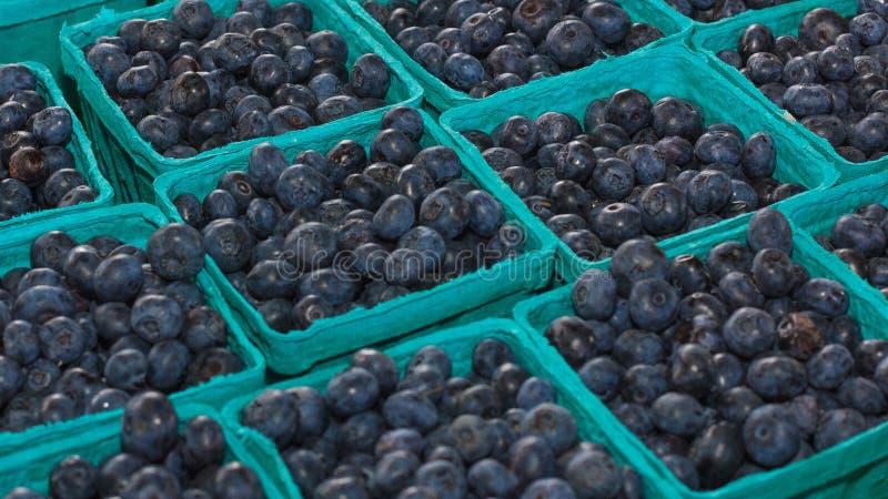 Blueberries at a Produce Stand Stock Image - Image of crop, summer ...