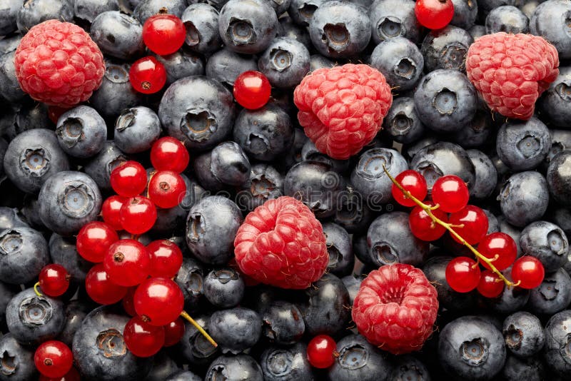 Blueberries and Raspberries Stock Image - Image of fresh, picked: 25884645
