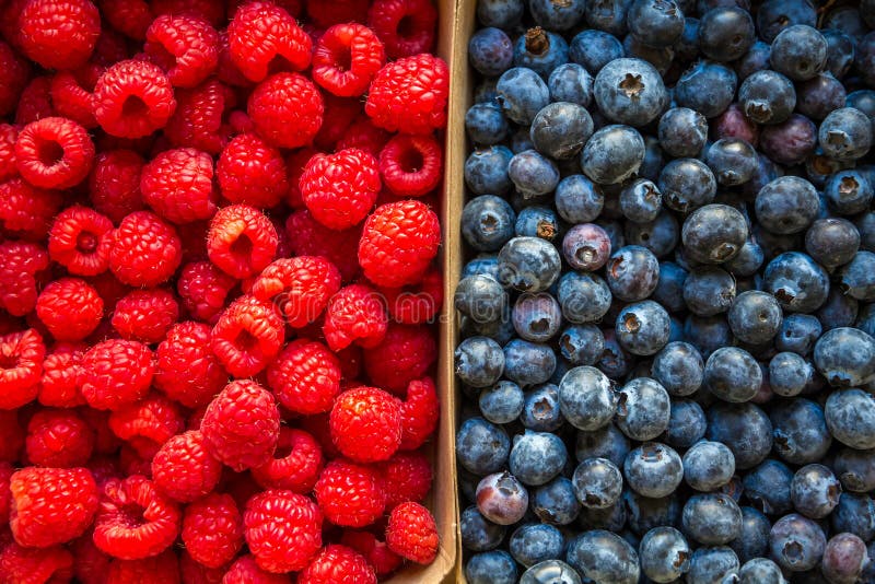 Blueberries and Raspberries Background Stock Image - Image of ...