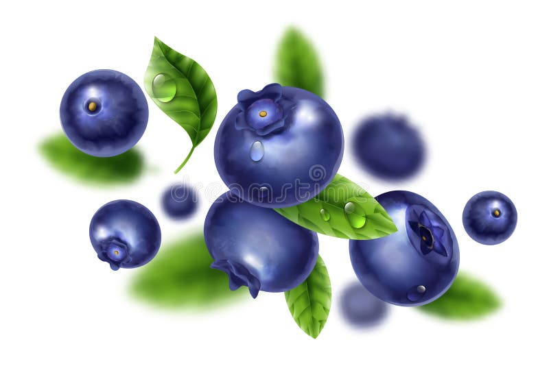 Blueberries Realistic Illustration Stock Vector - Illustration of berry ...