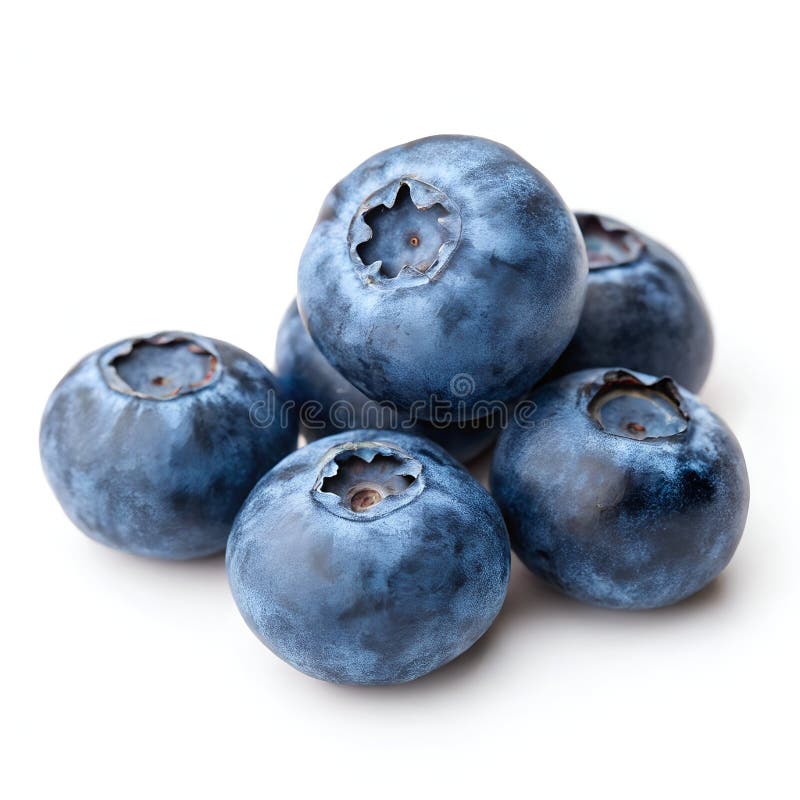 Blueberries, Realistic Photograph Isolated on White Background Stock ...