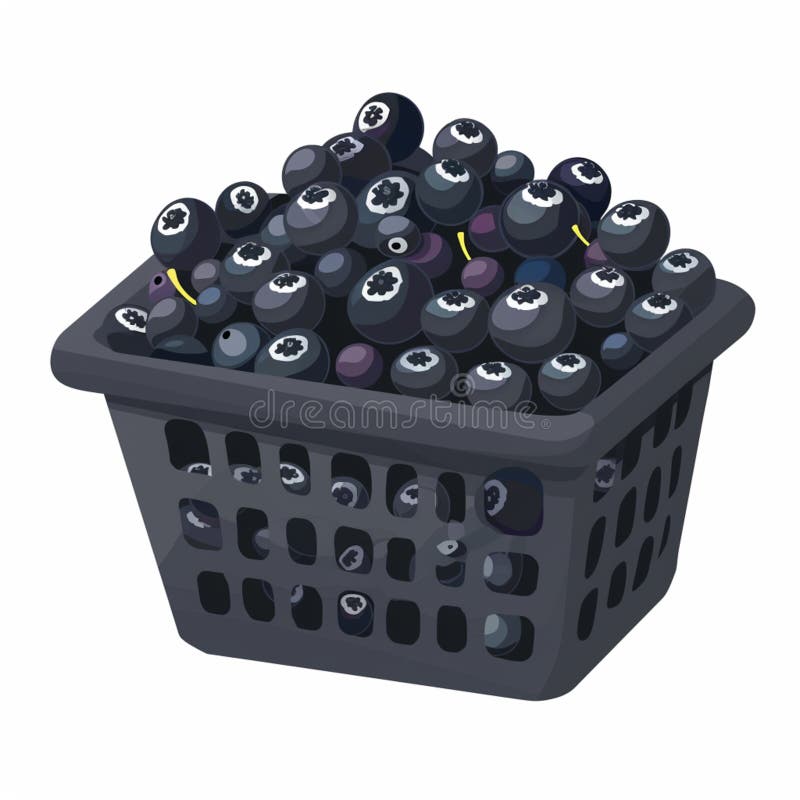 Blueberries in a Rustic Basket Graphic Design Stock Illustration ...
