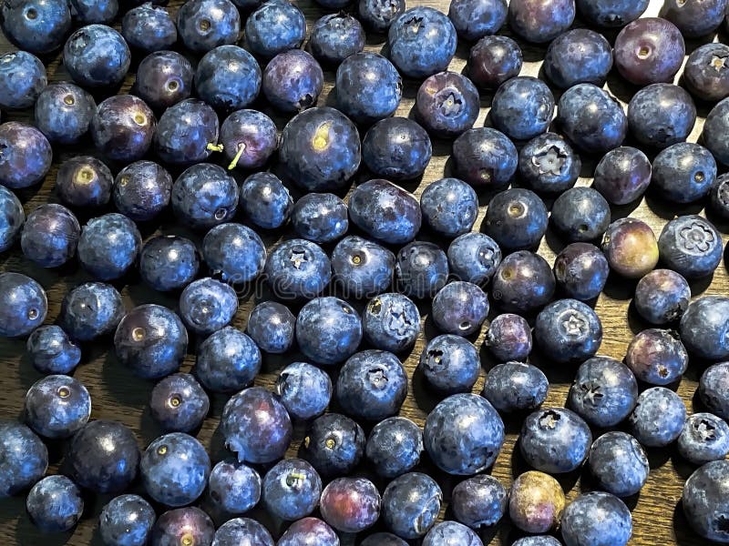 Blueberries Scattered on Brown Wooden Table Stock Photo - Image of ripe ...