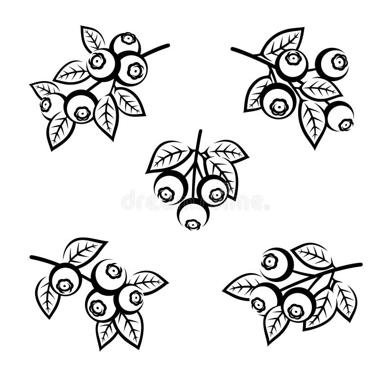 Blueberries Set. Collection Icon Blueberries Stock Vector ...