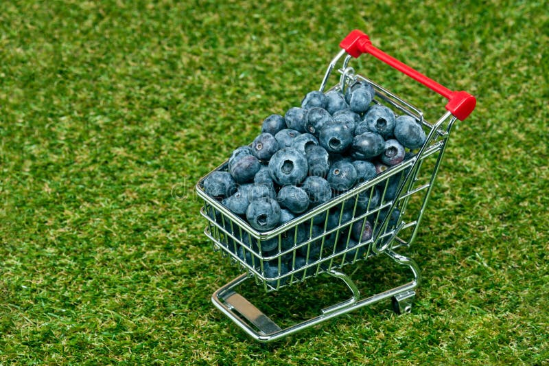 Blueberries in a Shopping Cart Stock Image - Image of vibrant, material ...