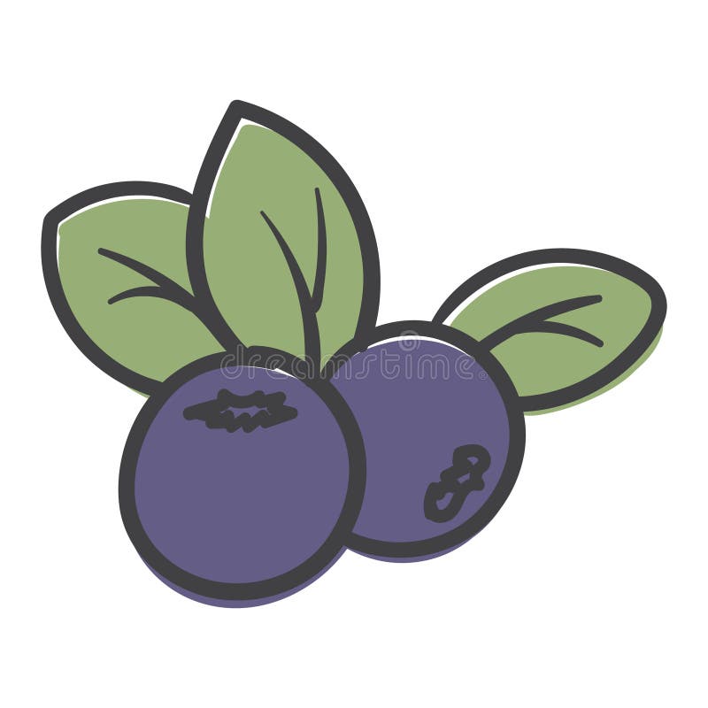 Blueberries. a Simple Hand-drawn Icon with an Offset Outline Stock Vector - Illustration of ...
