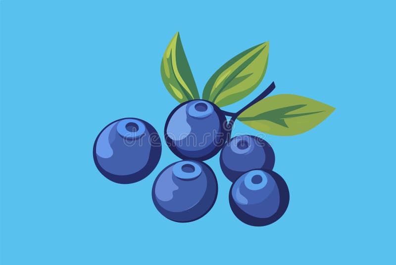 Blueberries Simple organic stock vector. Illustration of organic ...