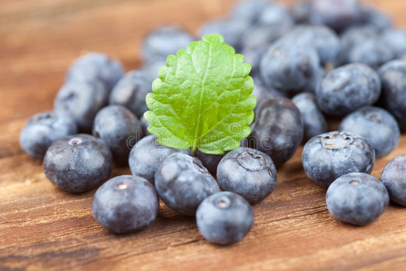 Blueberries with Single Leaf on Wood Stock Photo - Image of green ...