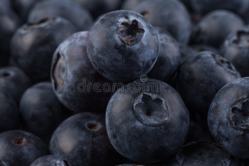 Blueberries on Stone Plate Background Stock Photo - Image of diet ...