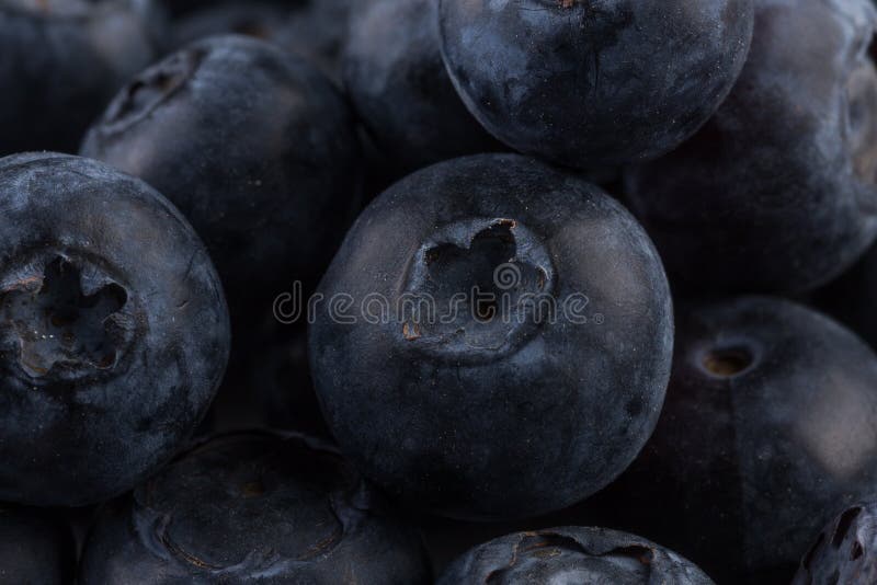 Blueberries on Stone Plate Background Stock Photo - Image of blackberry ...