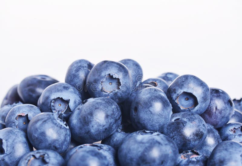 Blueberries stock photo. Image of food, backdrop, closeup - 166892