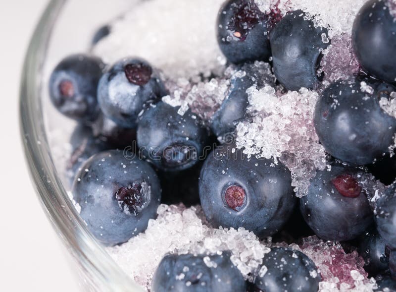 Blueberries in sugar stock image. Image of meal, dish - 28489667