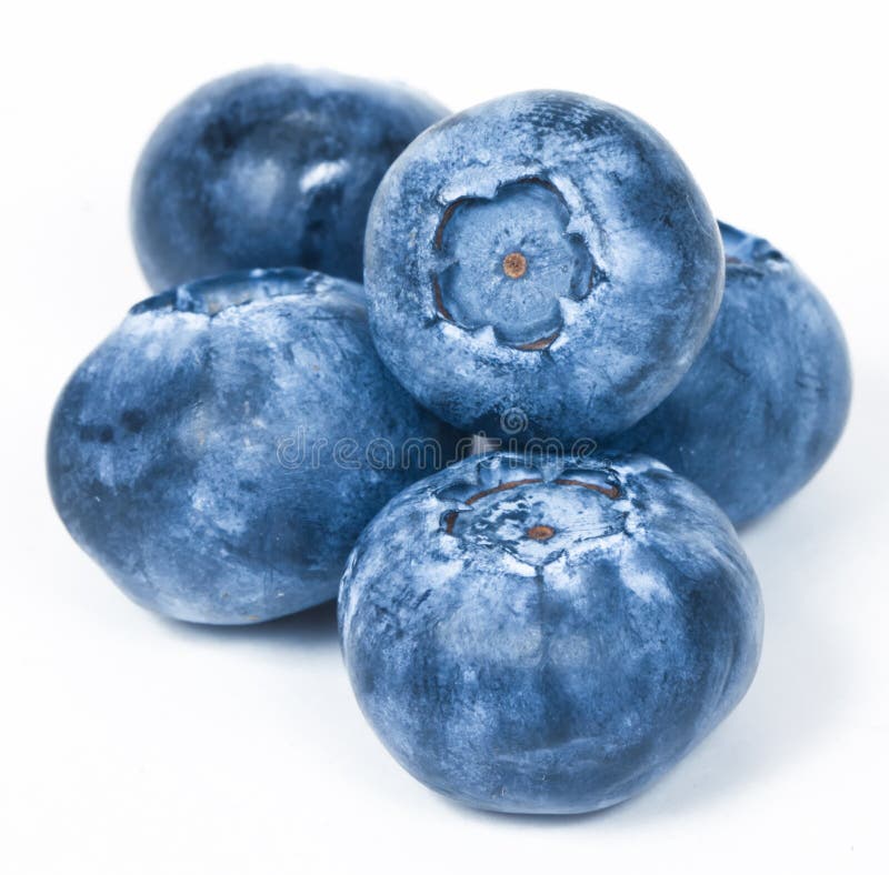 Blueberries on White Background Stock Photo - Image of bilberry, ripe ...