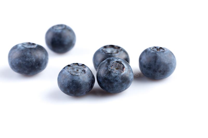 Blueberries on White Background Stock Photo - Image of object, fresh ...