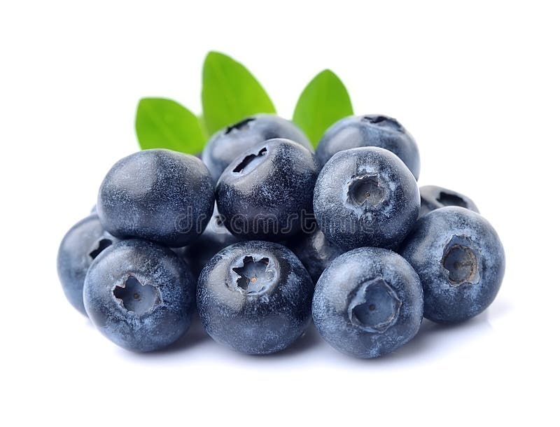 Blueberries on White Backgrounds Stock Photo - Image of antioxidant ...