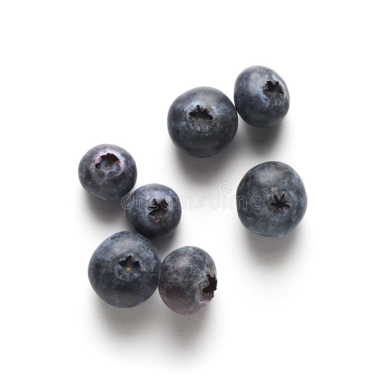 Blueberries on white stock photo. Image of close, small - 136097432