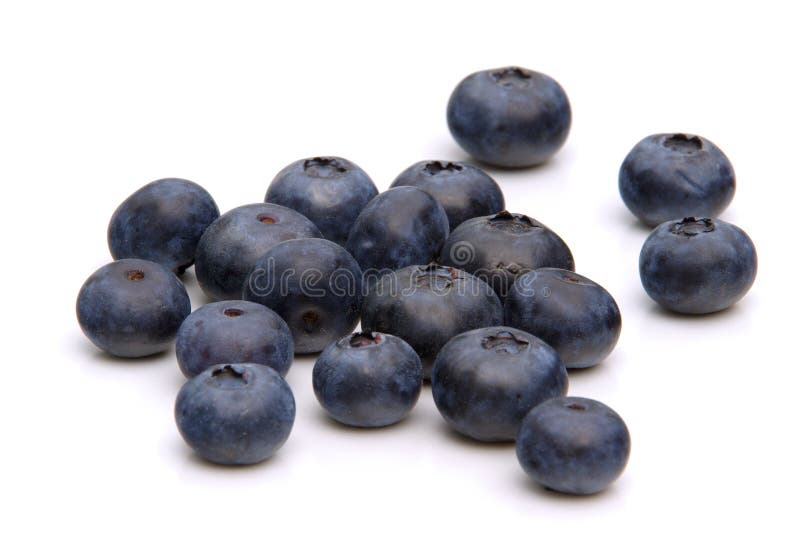 Blueberry stock photo. Image of bilberry, blaeberry, common - 10248696