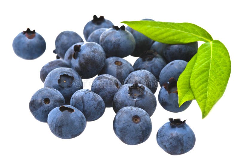 Blueberry stock photo. Image of group, sweet, fruit, healthy - 10279656