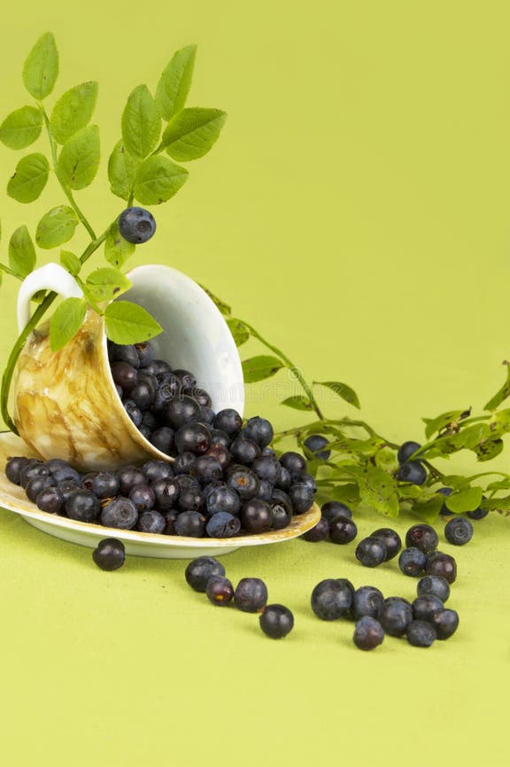 10,213 Blueberry Art Deviantart Stock Photos - Free & Royalty-Free ...