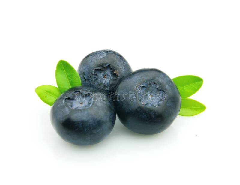 Blueberry stock photo. Image of blueberry, blue, closeup - 16280586